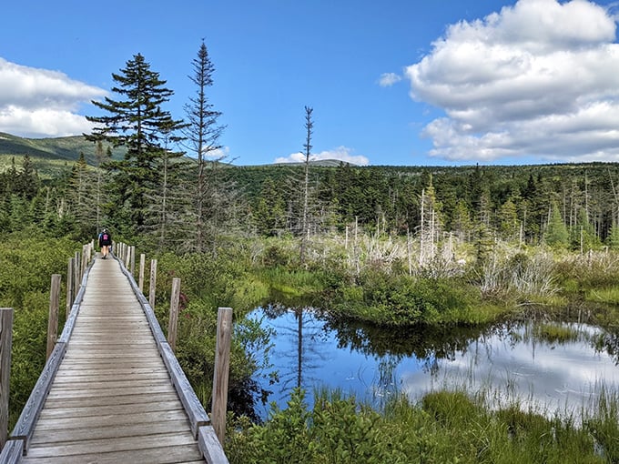 Nature's boardroom meeting. This wooden path through Bethlehem's wetlands offers the kind of peace you can't download from an app.