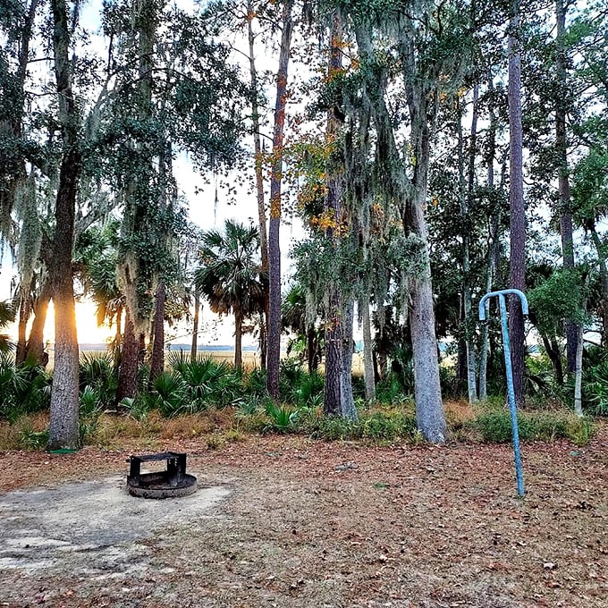 Nature's cathedral: Spanish moss hangs from ancient oaks like chandeliers, filtering Georgia sunlight into a dappled masterpiece across the campground.