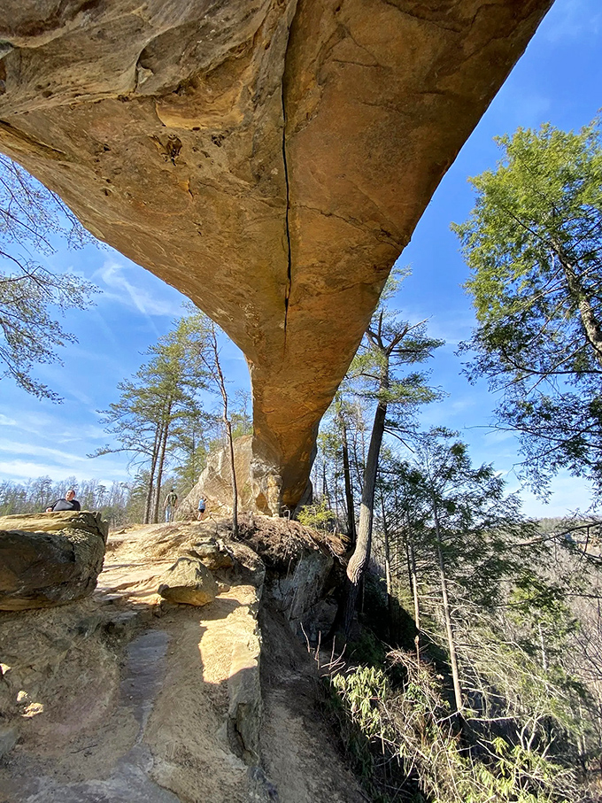 Looking up from below, you'll understand why they didn't call it "Somewhat Impressive Rock Formation." Sky Bridge earns its heavenly name with every inch of its 75-foot span.