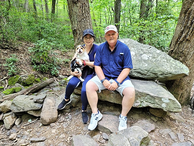 The best hiking companions: sturdy shoes, a loyal pup, and someone who doesn't mind when you stop every five minutes to say "Look at that view!"