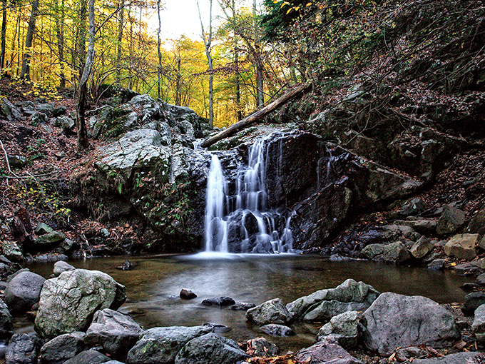 Nature's own masterpiece tucked away in Patapsco Valley State Park&mdash;proof that Ellicott City's beauty isn't limited to its architecture.
