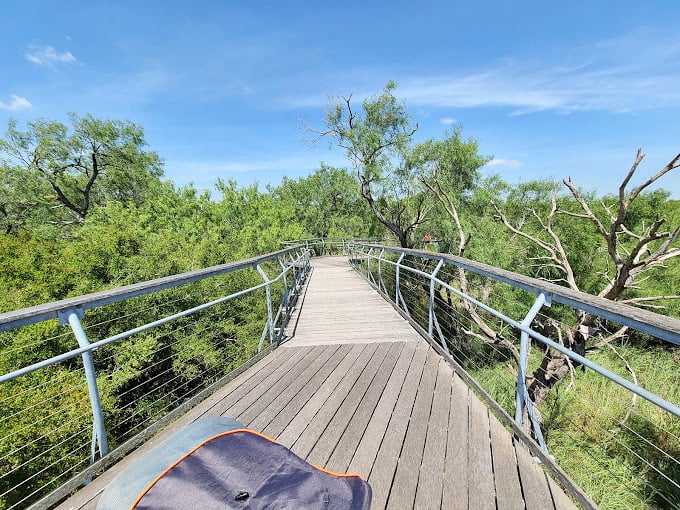 Bentsen-Rio Grande Valley State Park: An elevated boardwalk offers a bird's-eye view of the lush greenery below&mdash;no climbing trees required!