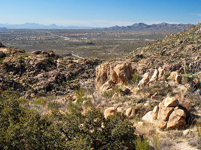 Catalina State Park's mountain views make even the most dedicated couch potatoes consider hiking boots.