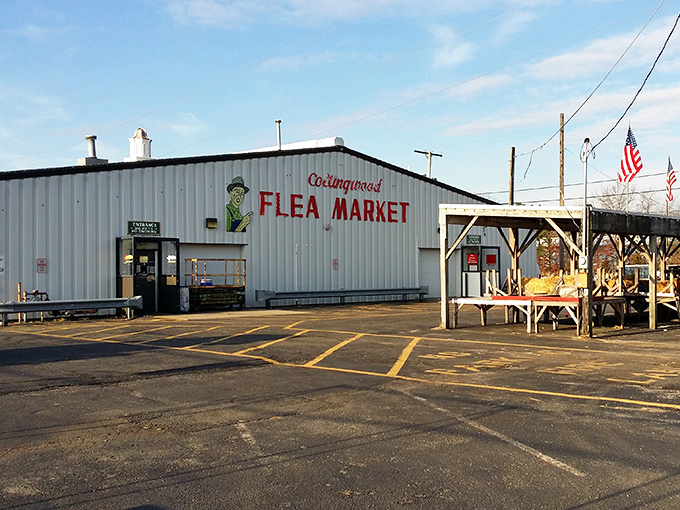 Collingwood's exterior might be humble, but inside lies a treasure trove that would make Indiana Jones rethink his career choice.