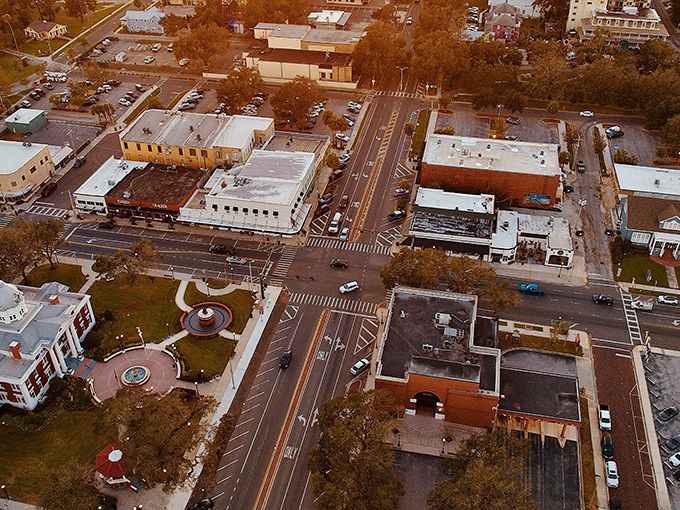 The aerial view of Dade City reveals a town square that hasn't surrendered to the strip mall gods &ndash; a rare find in today's Florida.