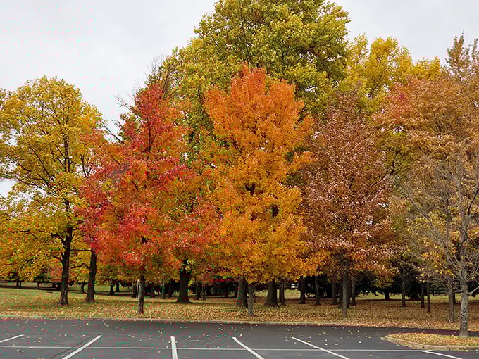 Fall's finest fashion show! E.P. Tom Sawyer's trees dress in their autumn best, proving Louisville knows how to do seasonal color. 