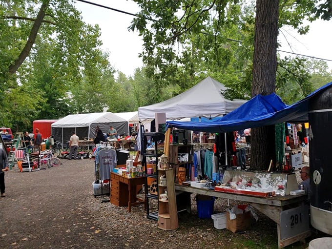 Greenlawn Grove's tree-shaded market creates a peaceful shopping oasis. Browsing feels more like a park stroll than a shopping expedition!