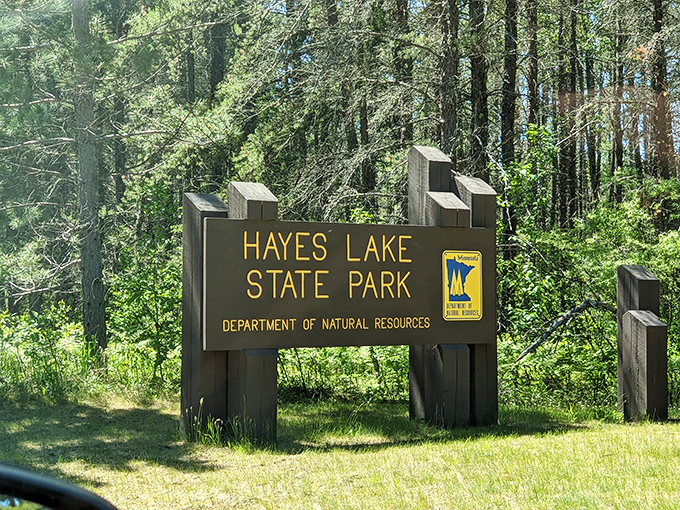 Hayes Lake's pristine campground – where the loudest noise might be the marshmallow falling off your roasting stick.