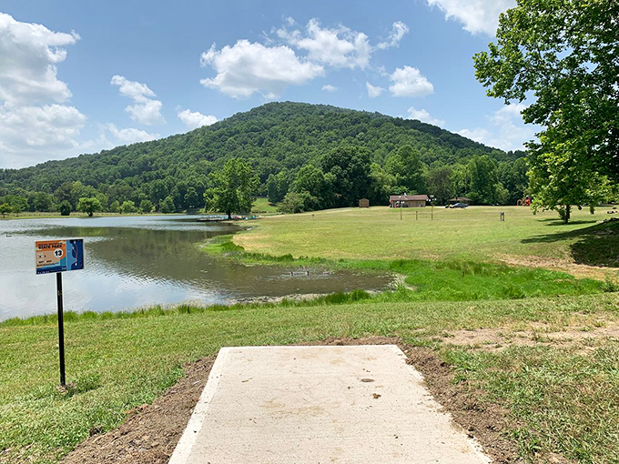 Indian Mountain's gentle landscapes hide their industrial past &ndash; nature's stunning second act after the mining curtain fell.