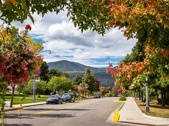 Los Alamos offers mountain town charm without the mountain town prices, where scientific minds and budget-conscious retirees find common ground.