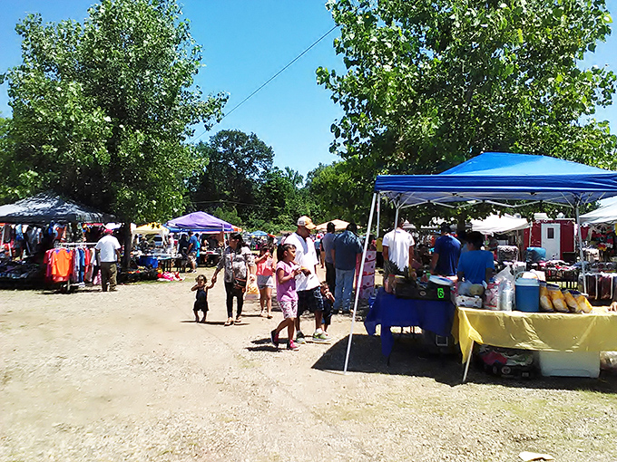 Down this hallway lies a world where time stands still and memorabilia whispers stories from decades past.
