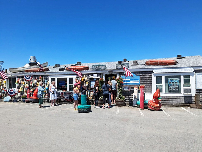 Sesuit Harbor Cafe hides behind a collection of buoys and boats, a secret seafood spot shared through whispers and smiles.