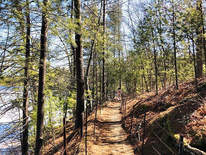 Walden's famous woods offer narrow trails through towering pines, where Thoreau's spirit still encourages thoughtful wandering.