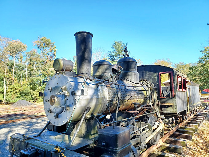 All aboard the time machine! This historic steam locomotive at Allaire Park lets you travel back to an era when "horsepower" meant actual horses.