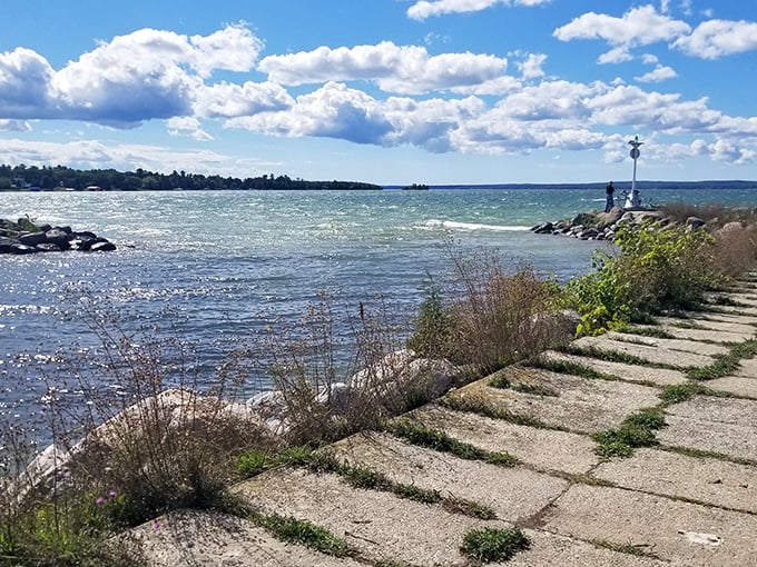 Mullett Lake sparkles like diamonds under Michigan sunshine. No tropical flight required for this waterfront serenity!
