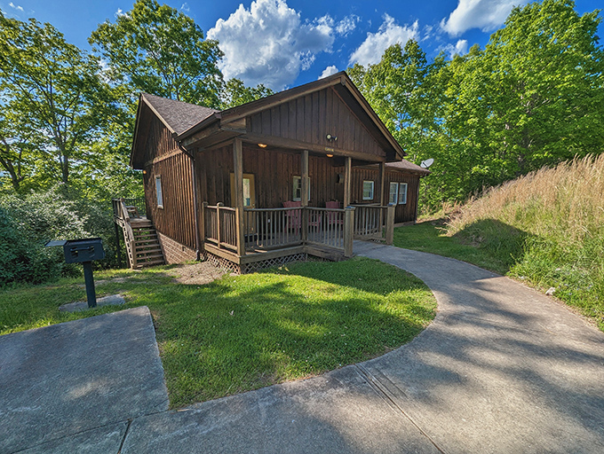 This rustic cabin at Beech Fork offers woodland comfort with a front-row seat to nature's greatest show.