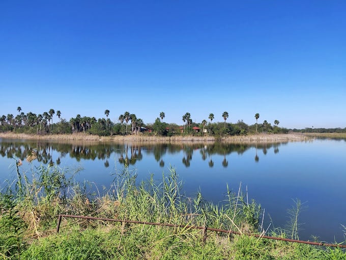 Bentsen-Rio Grande Valley State Park: Palm trees reflect perfectly in still waters, creating that "Wait, am I still in Texas?" moment we all treasure.