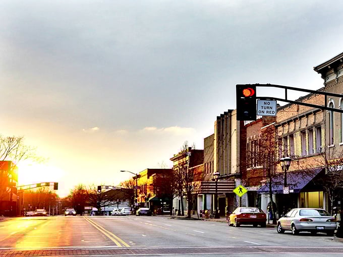 These tree-lined streets aren't just pretty &ndash; they're the pathways to some of Illinois' most affordable living for the Social Security crowd.