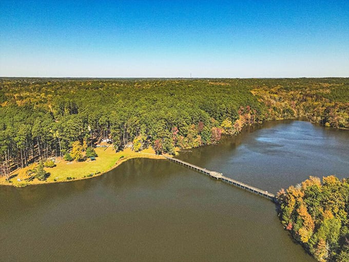 Aerial magic—Chester's wooden bridge connects more than just shorelines; it links everyday life to pure, unfiltered joy.