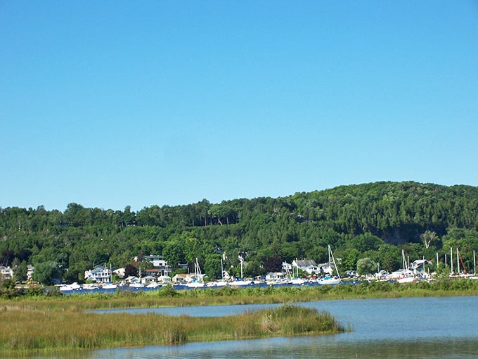 The calm waters of Fish Creek harbor reflect the surrounding greenery, nature's version of a perfect selfie.
