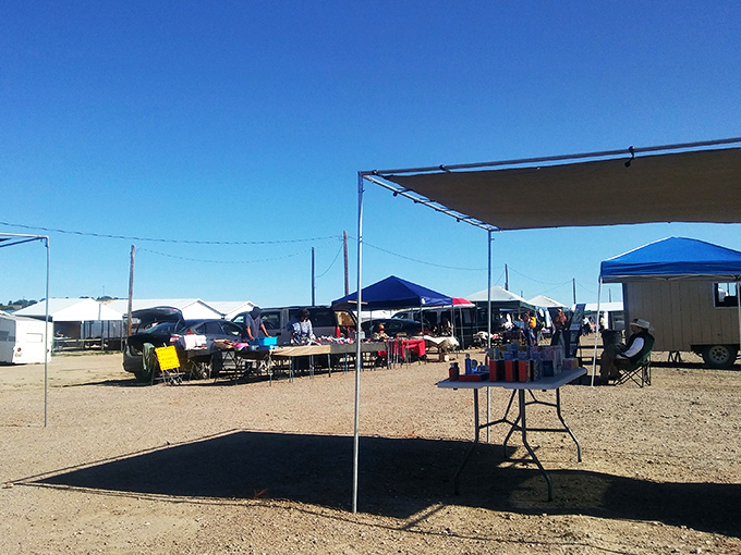 Where handshakes still seal bargains and the New Mexico mountains stand witness to centuries of trading.