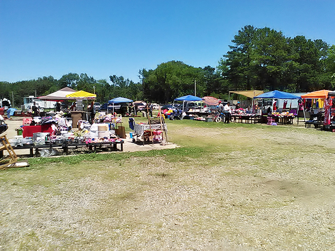 Vintage meets variety in these spotless aisles, where everything gleam with collectibles awaiting new homes.