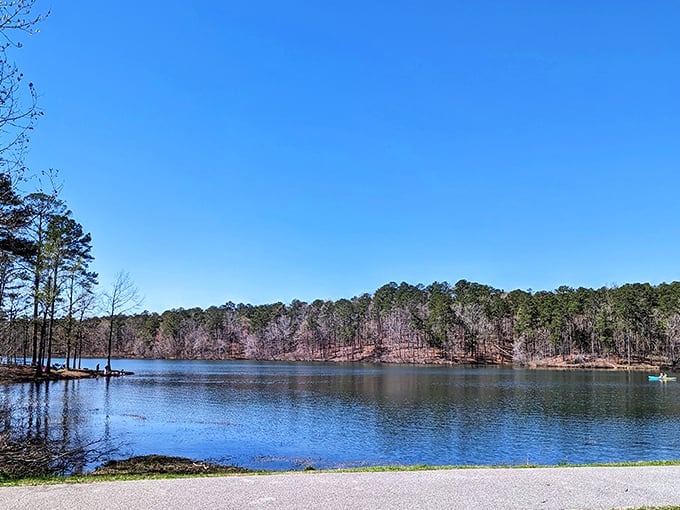 This wonder offers views that make you forget there's rocket science happening just down the mountain.