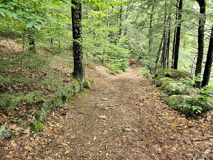 Lakeside bliss at Pawtuckaway - complete with boats, benches, and that "I could stay here forever" feeling.