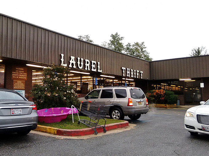 Evening light transforms Laurel Thrift into a golden palace of possibility&mdash;where tonight's shopping trip becomes tomorrow's home makeover.