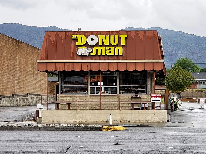 That famous strawberry-stuffed donut isn't just breakfast—it's a seasonal celebration that locals mark on their calendars like a holiday.