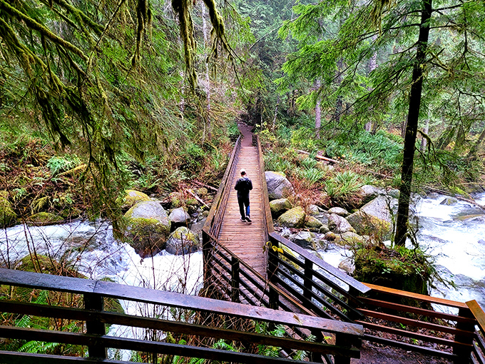 Wooden bridges over rushing waters &ndash; like crossing into another world where moss-draped giants have stood for centuries.