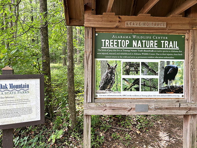 Nature's classroom comes complete with feathered professors. No homework assigned, but life lessons freely given.