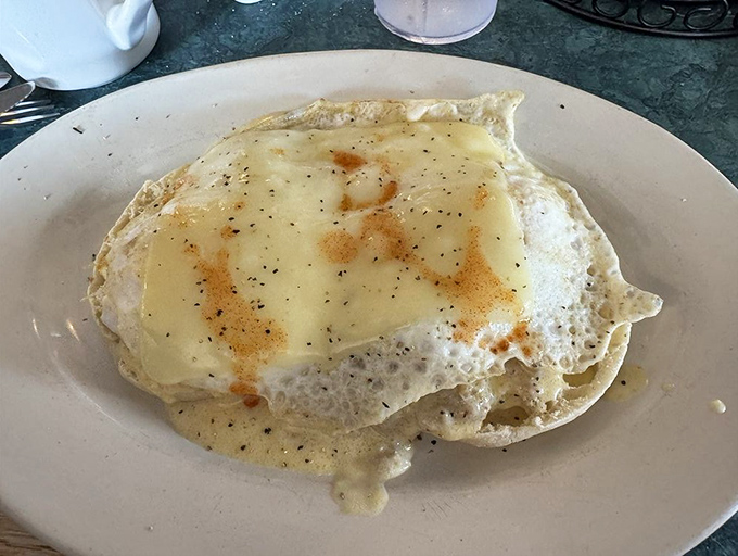 This breakfast wrap isn't messing around &ndash; it's packed tighter than a suitcase before vacation with eggs, cheese, and enough flavor to jumpstart your day.