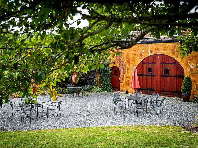 This courtyard at Anyela's Vineyards doesn't just serve wine&mdash;it serves the kind of atmosphere that makes you want to cancel your afternoon plans.