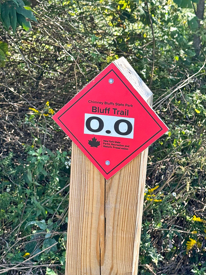 This trail marker's wide-eyed expression perfectly captures how you'll feel when you first glimpse the bluffs. "O.O" indeed!