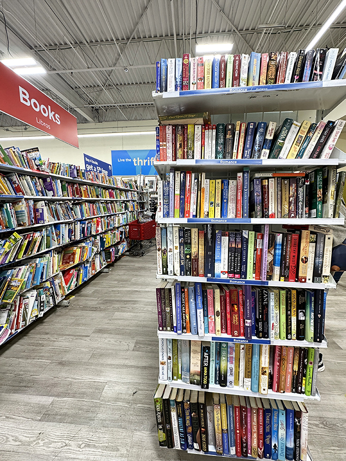 The book section: where dog-eared paperbacks and forgotten bestsellers wait patiently for their next reader to continue their journey.