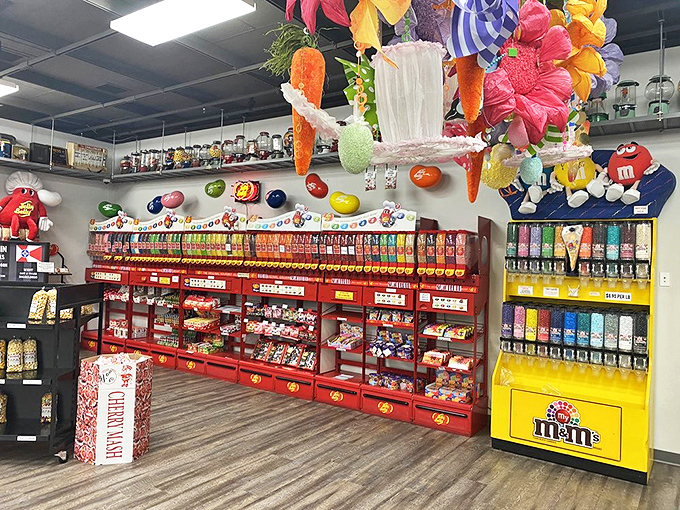 Decisions, decisions! Each transparent bin holds not just candy, but potential happiness by the scoop. 