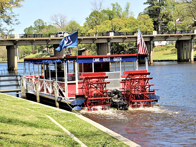 The Cane River Queen paddle wheeler awaits passengers, promising leisurely tours where the captain's stories flow as steadily as the water.