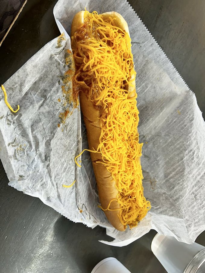 This isn't just lunch&mdash;it's a commitment. The cheese-to-chili ratio here deserves scientific study for its perfect proportional harmony.