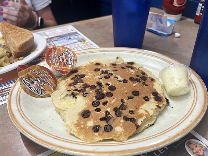 Chocolate chip pancakes: breakfast's way of saying "today's going to be better than yesterday." A pat of butter slowly melting into fluffy pancake paradise.