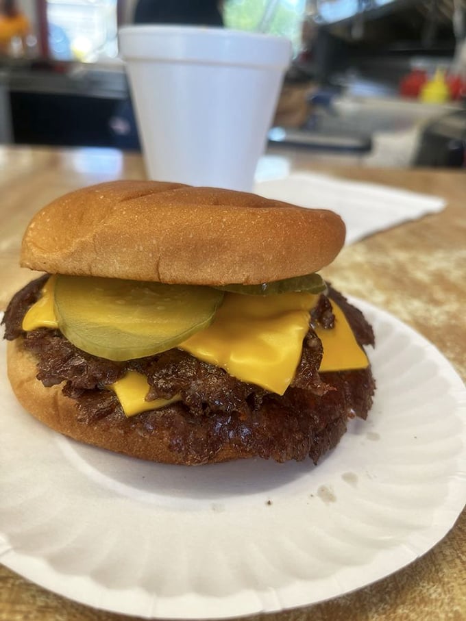 Behold the architectural marvel of the double cheeseburger: crispy-edged patties creating what engineers might call "optimal cheese-to-beef ratios."