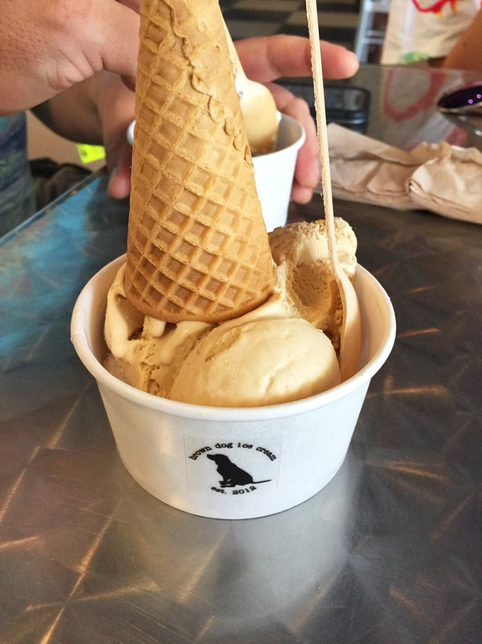 The golden waffle cone stands at attention, ready to support its creamy cargo on a mission to delight your taste buds.