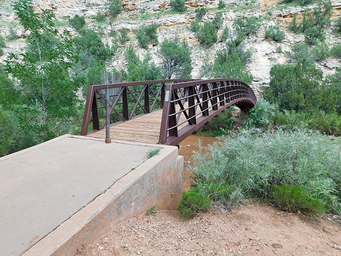 This isn't just a bridge&mdash;it's a portal between worlds, connecting modern visitors to wilderness that remains gloriously unchanged.