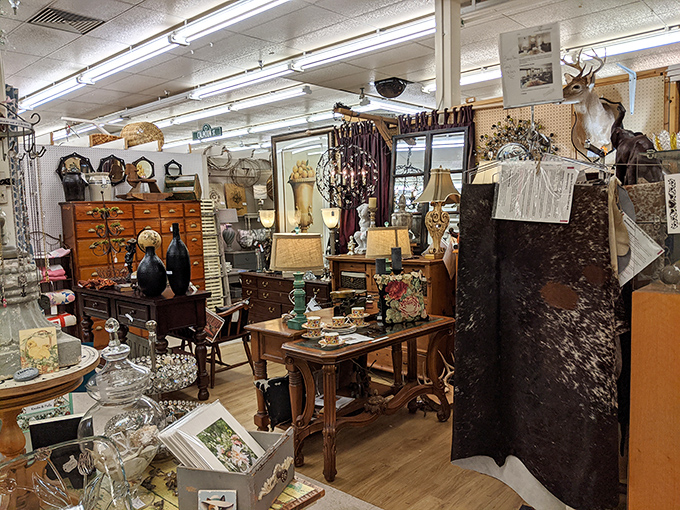 Furniture that has witnessed history makes modern pieces seem like forgettable extras in life's movie. That deer seems as impressed as we are.