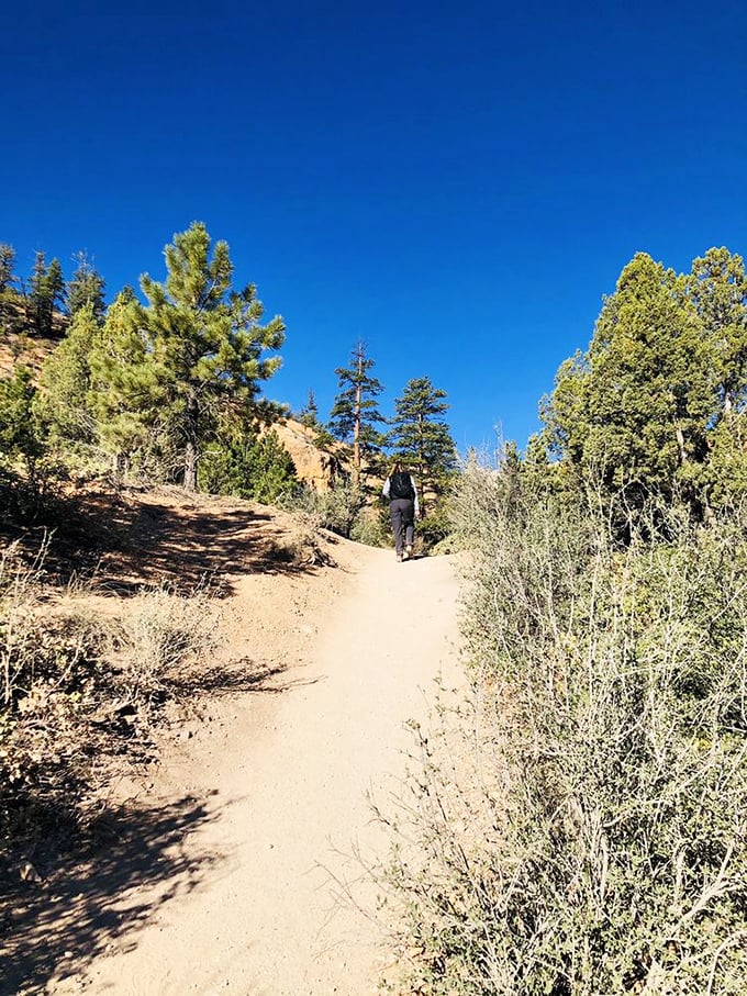 Hoodoos on parade! These orange rock formations look like an audience of stone people gathered to watch the stream perform its erosion magic.