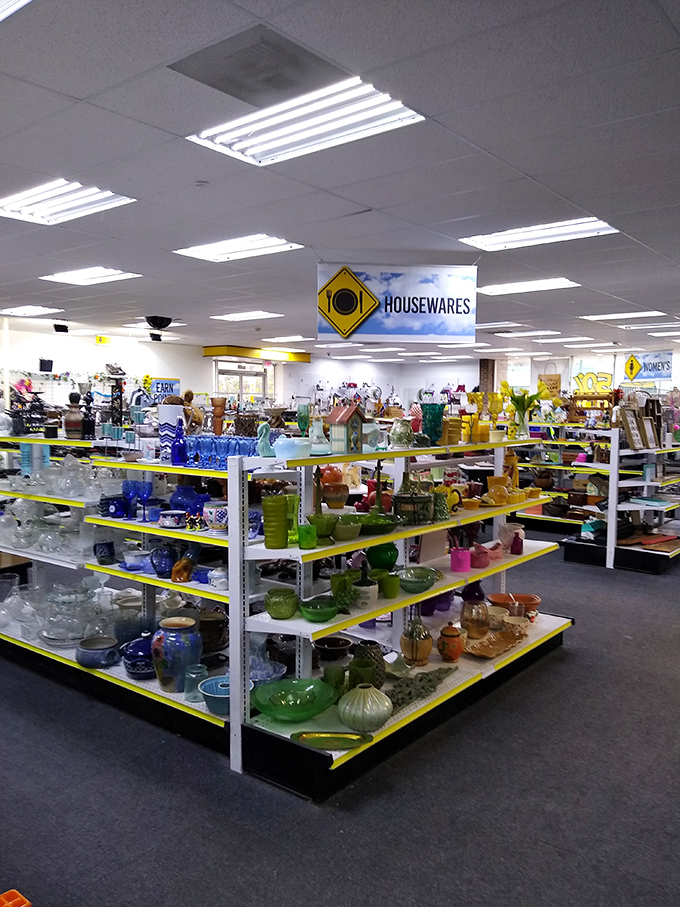 The housewares section gleams with colorful potential. Those blue glass bowls? They've seen dinner parties in another life and are ready for yours.