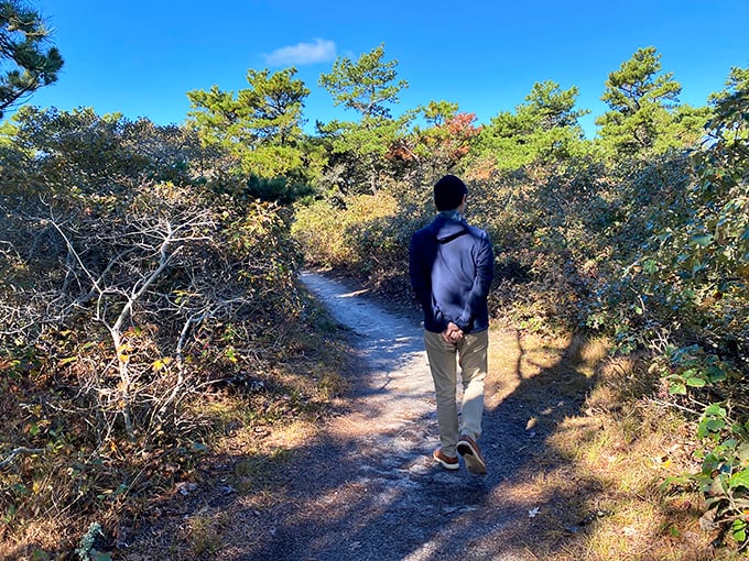 Mother Nature's hallways are always the most impressive&mdash;no interior decorator could match this corridor of ancient trees and filtered sunlight.