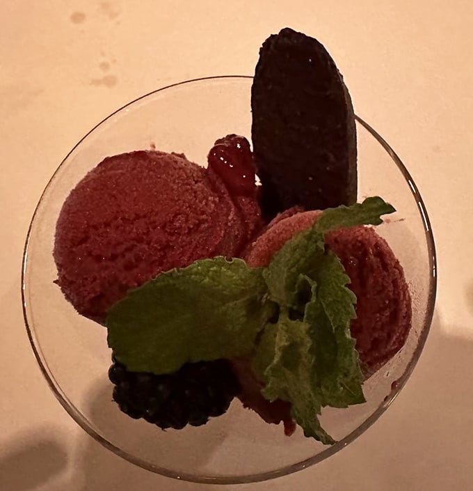 Berry sorbet that doesn't just cleanse your palate but makes you question why you'd ever waste calories on lesser desserts.