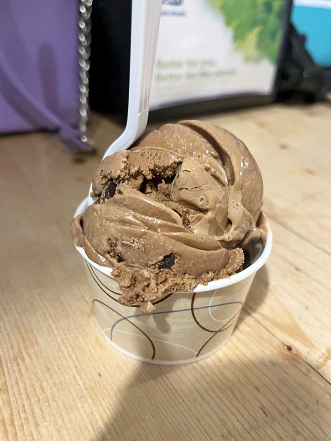 Chocolate lovers, rejoice! This mocha chunk scoop has more depth than a Netflix drama and twice the satisfaction.