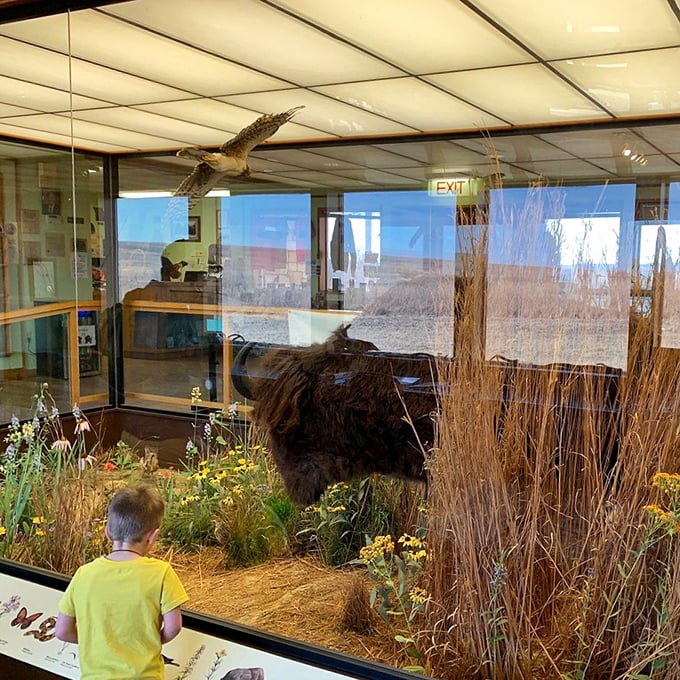 The nature center offers close encounters with prairie wildlife without the "please stay 100 yards away" rule that applies outside.